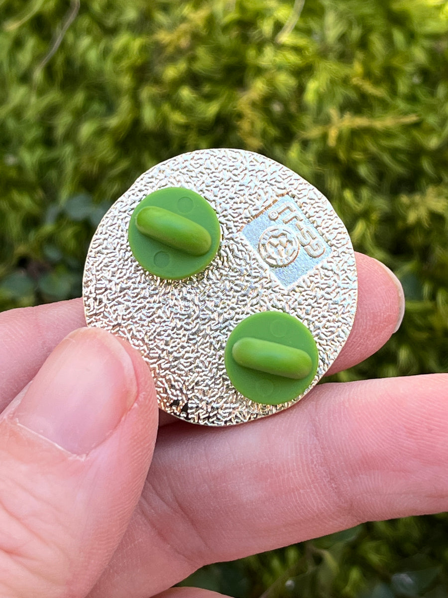 Green Door Enamel Pin – DirtWorks Ceramics